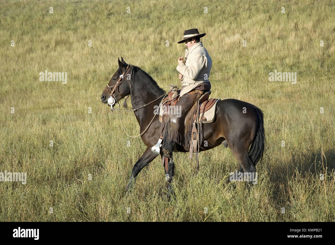 Cowboy riding on range. Montana, USA Stock Photo - Alamy