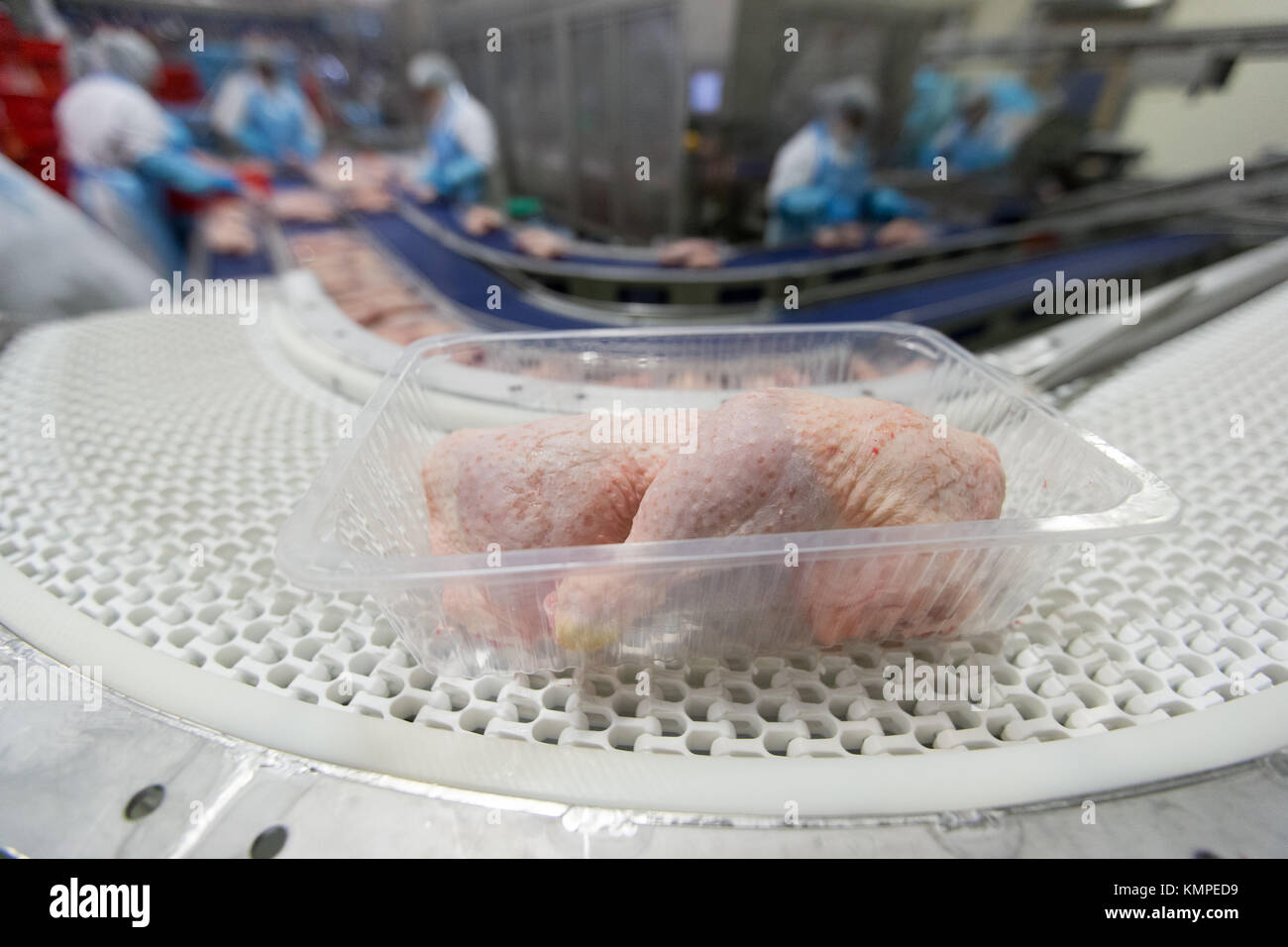 Lohne, Germany. 5th Dec, 2017. Poultry meat is packaged in the ...