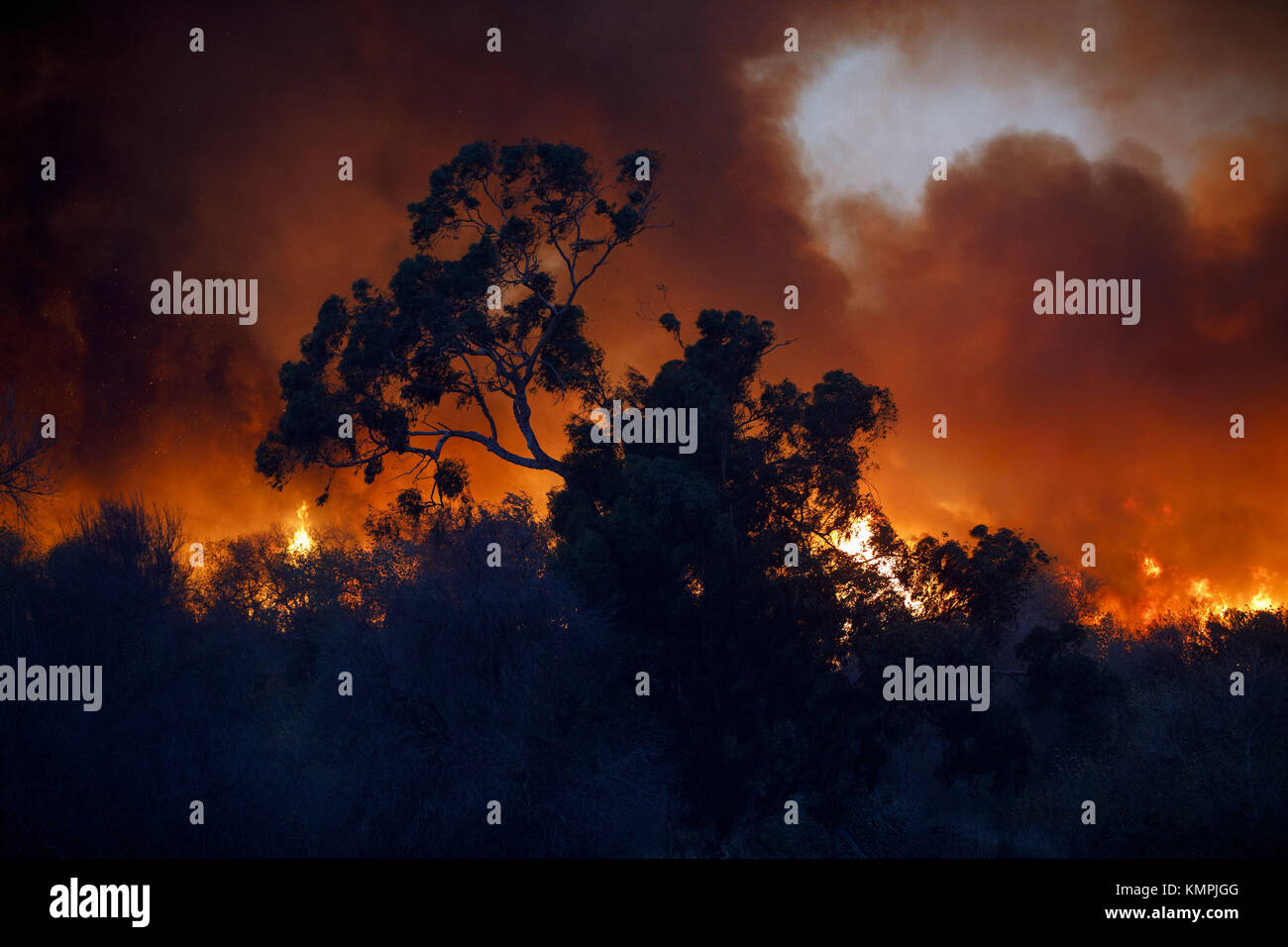 Bonsall, CA, USA. 7th Dec, 2017. The Lilac Fire burns near West Lilac ...