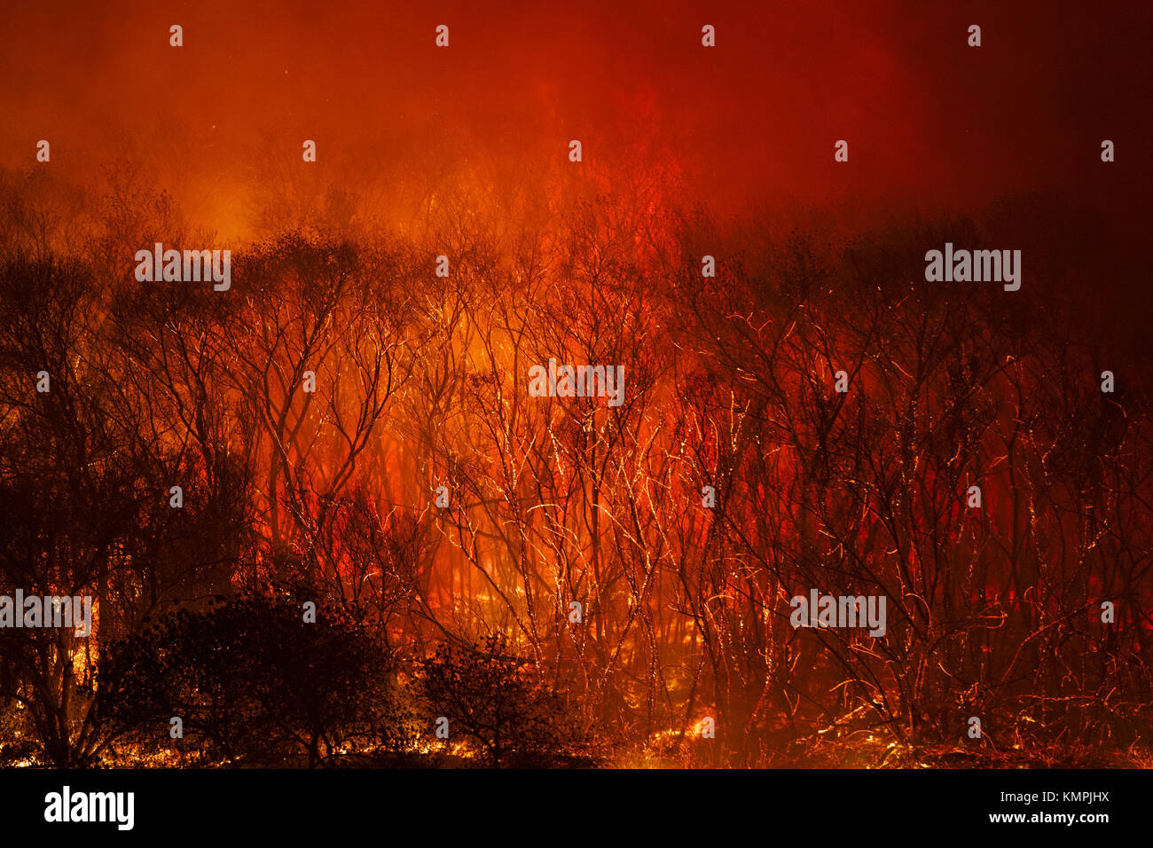 Bonsall, CA, USA. 7th Dec, 2017. The Lilac Fire burns by West Lilac ...
