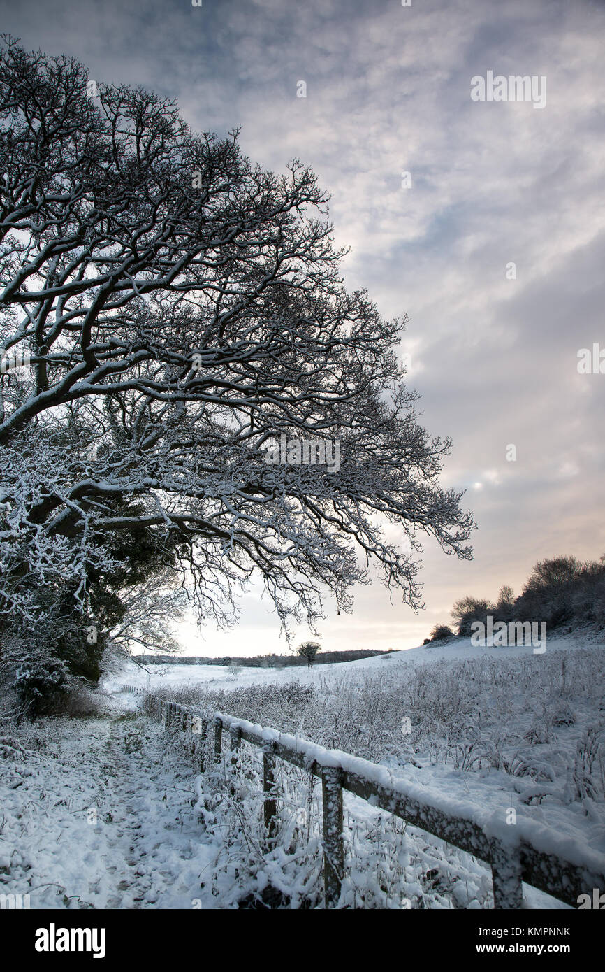 December nature uk hi-res stock photography and images - Alamy