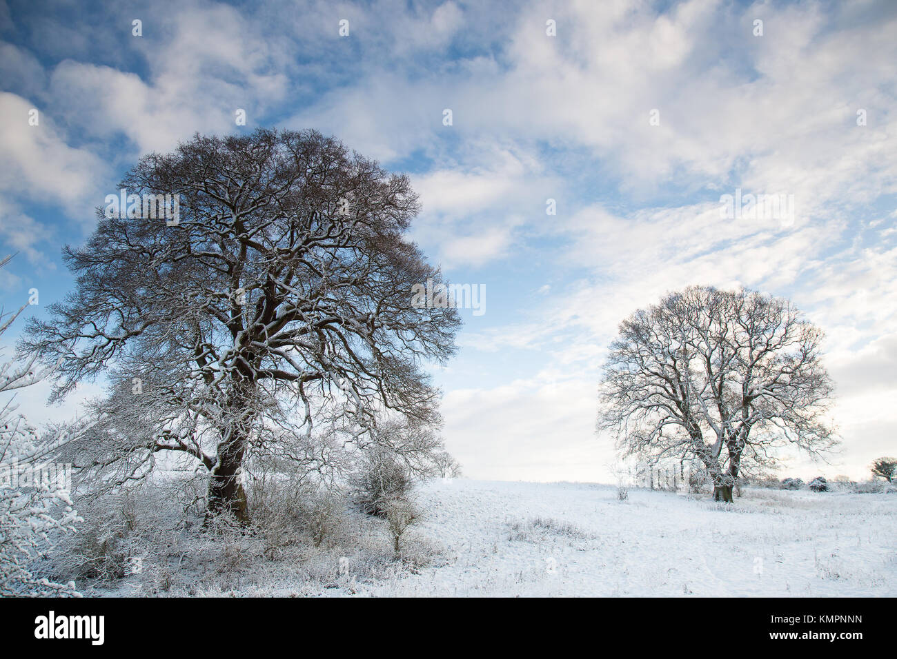 Bleak midwinter landscape hi-res stock photography and images - Alamy