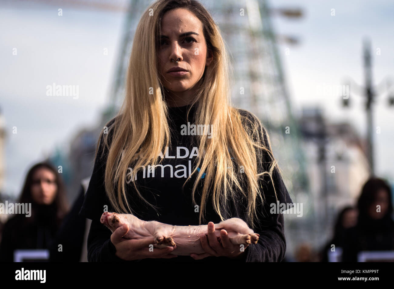 Madrid, Spain. 9th Dec, 2017. An activist of pro-animal rights group ...