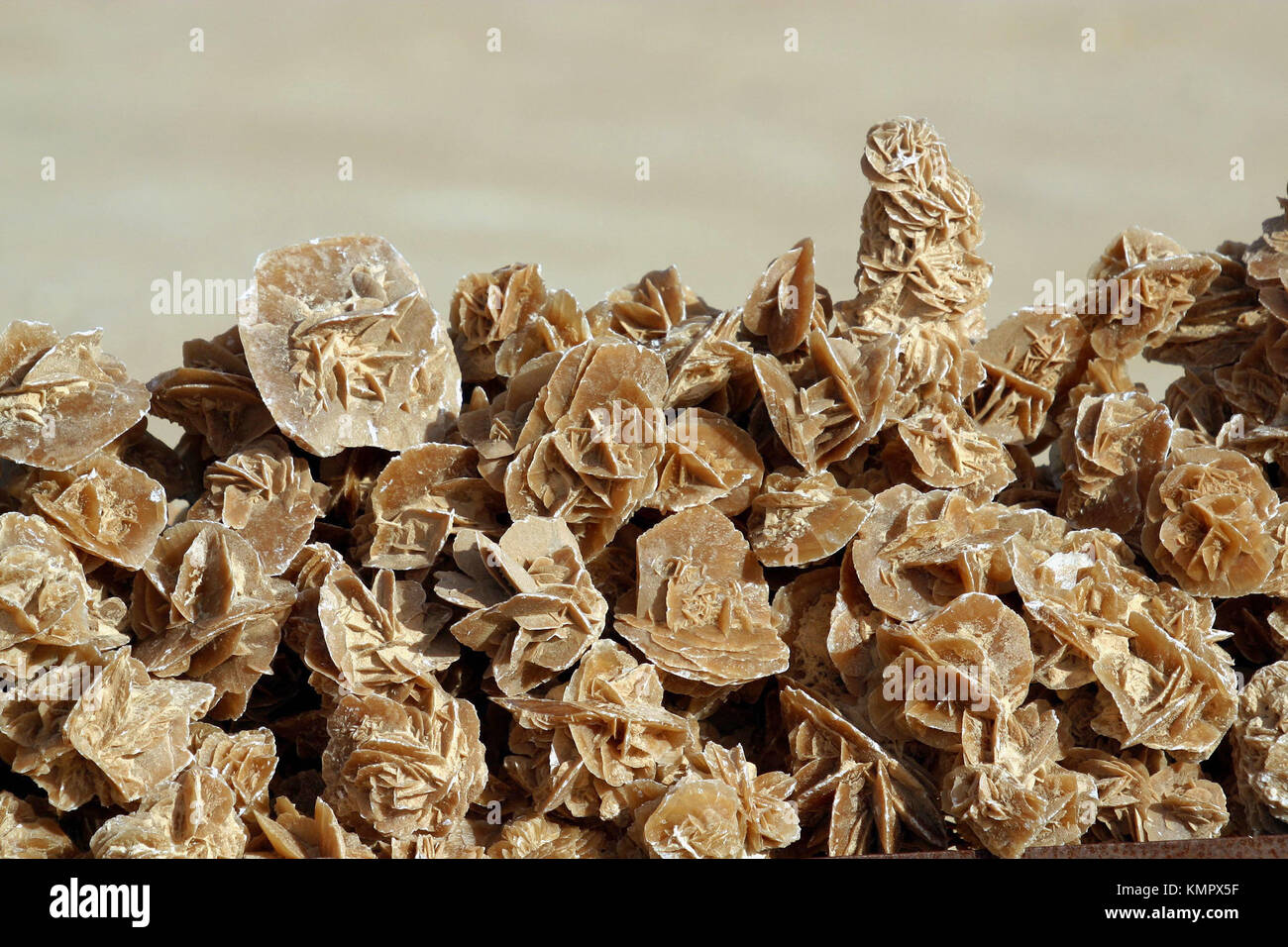 Rosettes pattern hi-res stock photography and images - Alamy