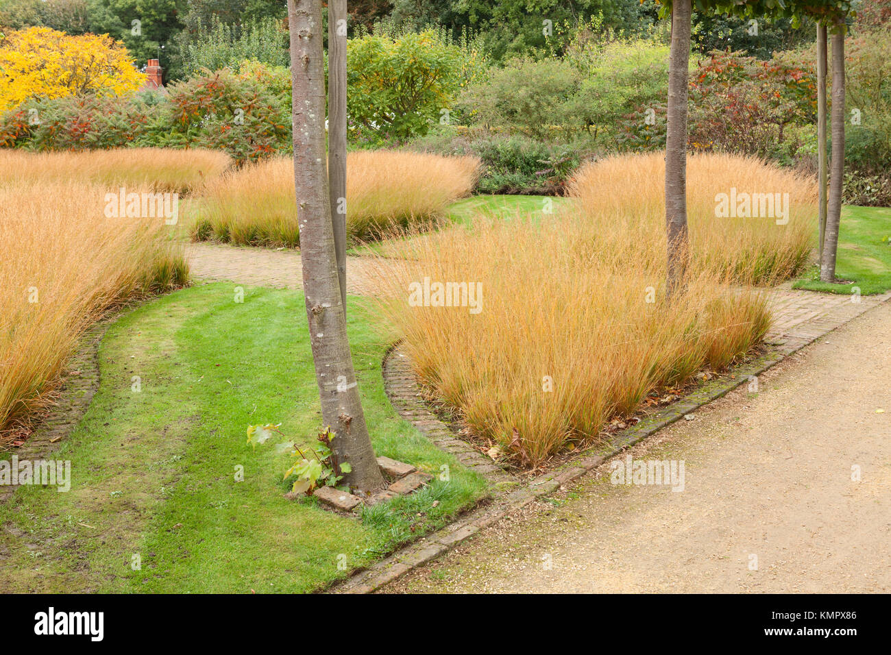 Scampston Hall Walled Garden, North Yorkshire, in Autumn. October 2017 ...