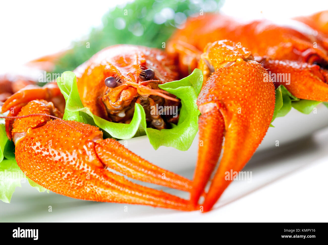 Boiled crawfish on a white background Stock Photo - Alamy