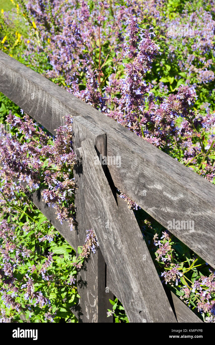 Botanicus ostra nad labem hi-res stock photography and images - Alamy
