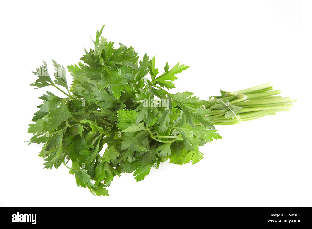 Fresh parsley on a white background Stock Photo - Alamy