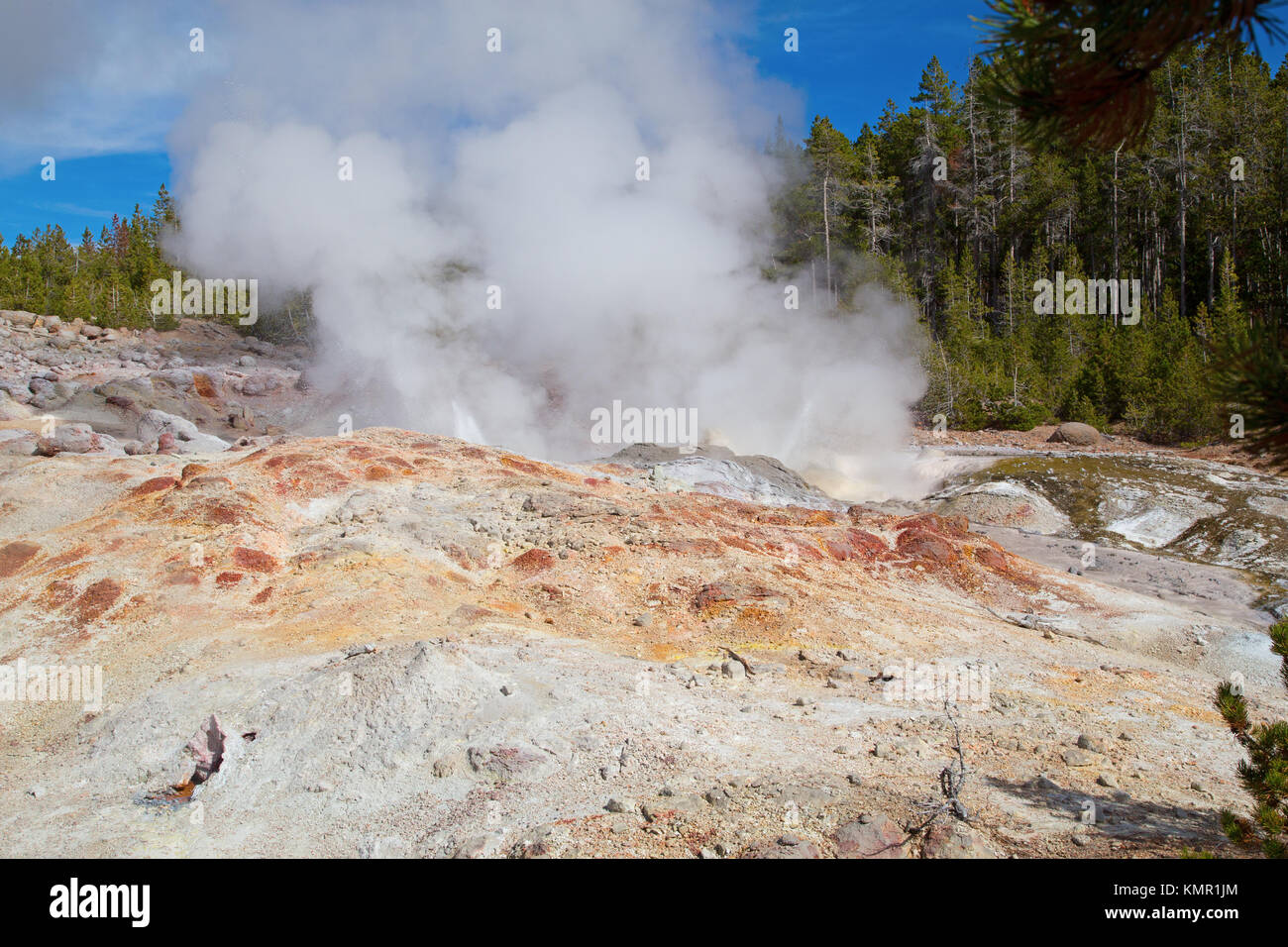 Norris geyser basin in the Yellowstone National park, USA Stock Photo ...