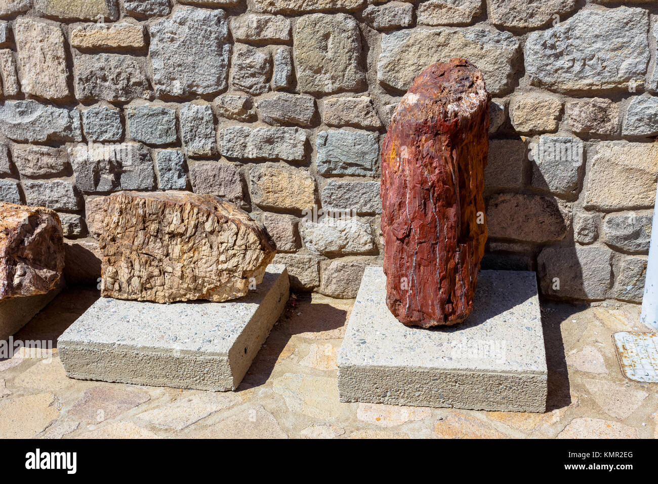 A fossilized colorful tree trunk from the UNESCO Geopark "Petrified ...
