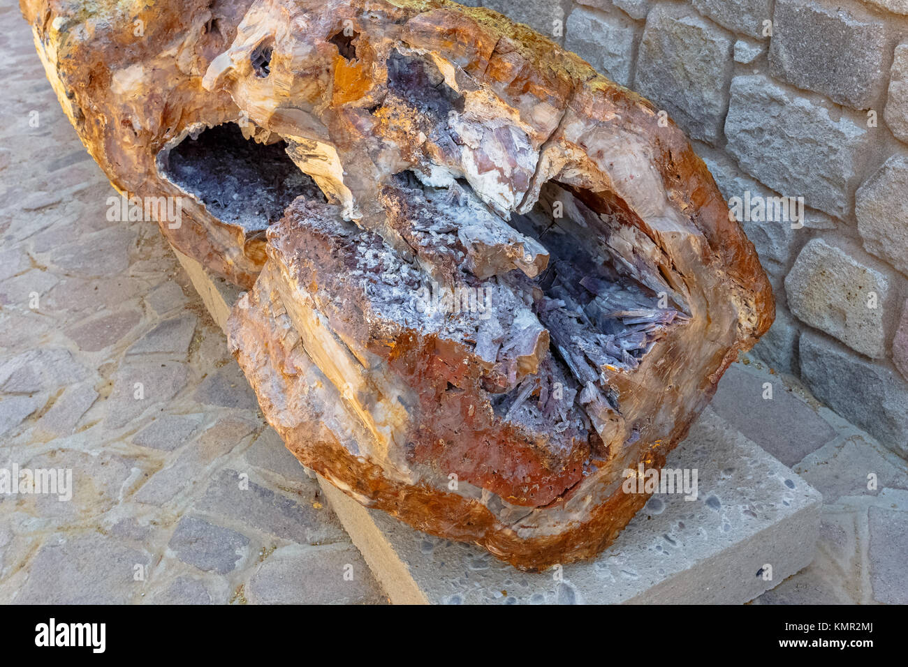 A fossilized colorful tree trunk from the UNESCO Geopark "Petrified ...