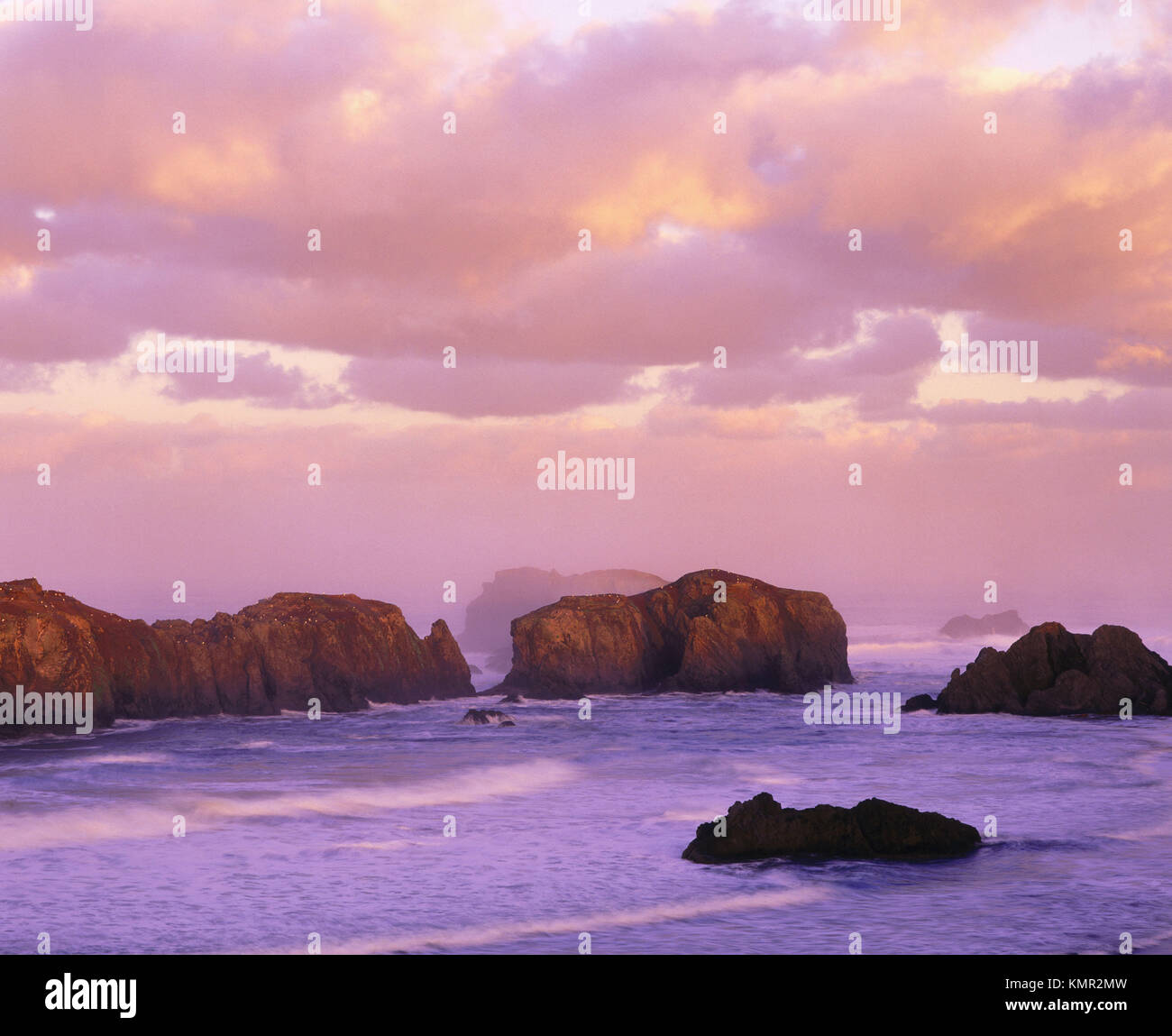 Oregon island national wildlife hi-res stock photography and images - Alamy