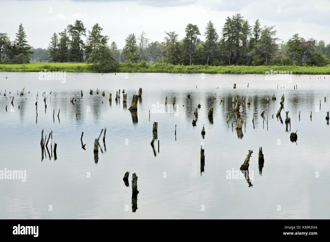 Seney National Wildlife Refuge System in Upper Penninsula Michigan. USA ...