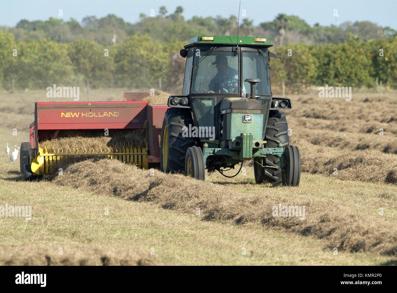 Farmer bailing hay in a field at Ruskin Florida Stock Photo - Alamy