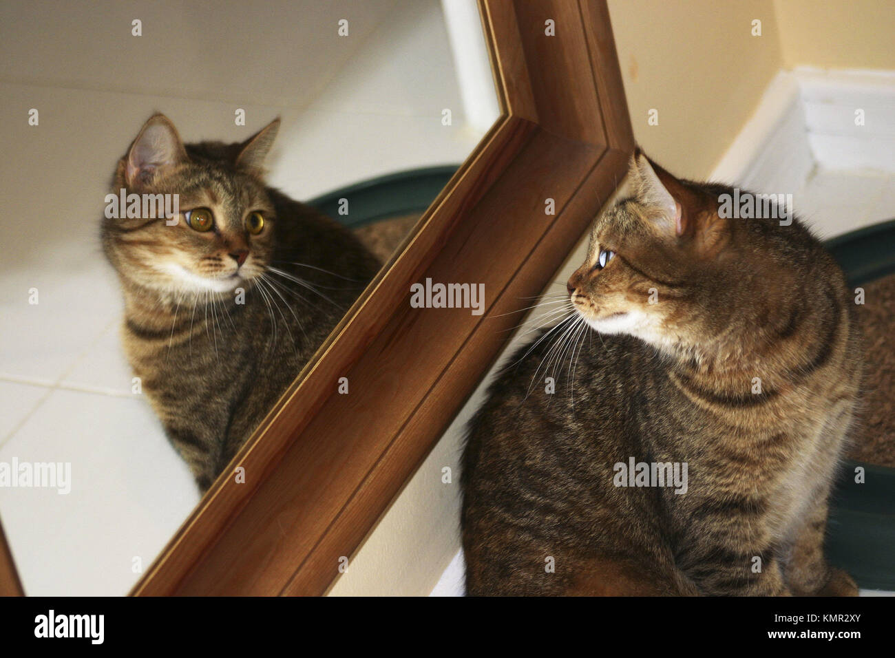 ´you look marvelous´ Stock Photo - Alamy