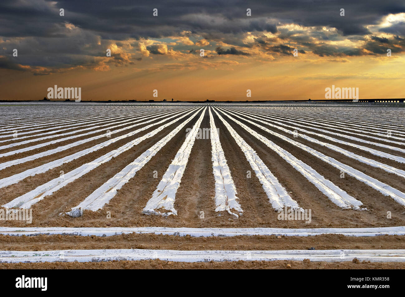 Plastic covered hi-res stock photography and images - Alamy