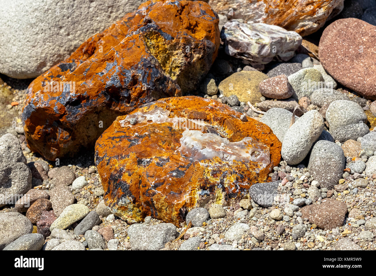 A fossilized colorful tree trunk from the UNESCO Geopark "Petrified ...