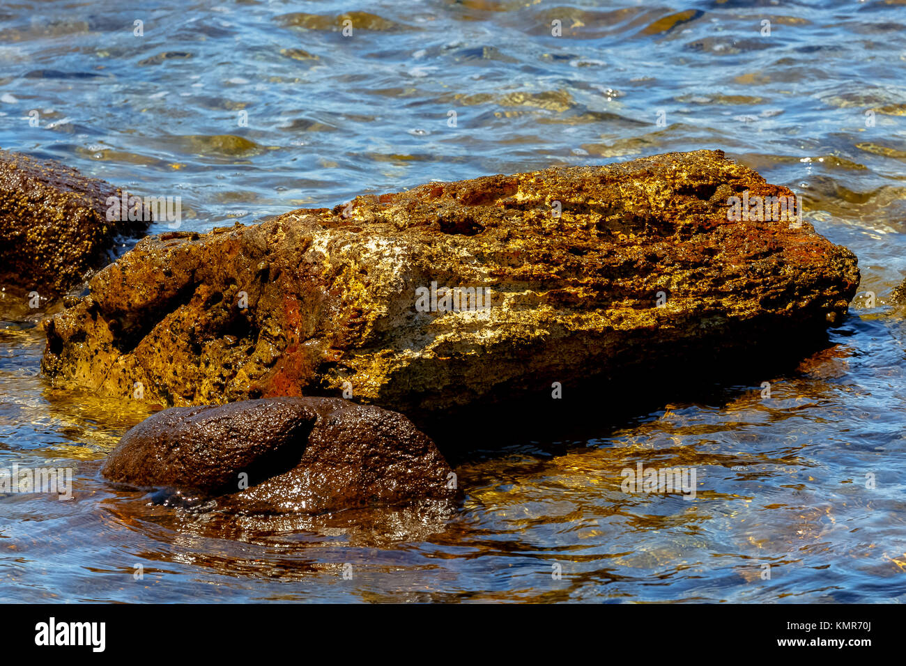 Fossilized colorful tree trunks in the sea from the UNESCO Geopark ...