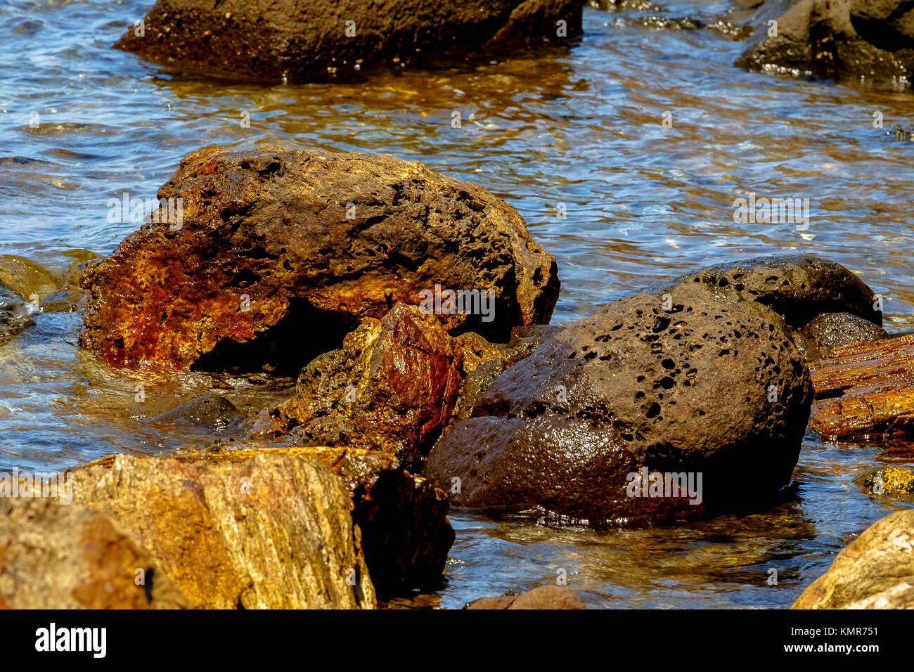 Fossilized colorful tree trunks in the sea from the UNESCO Geopark ...