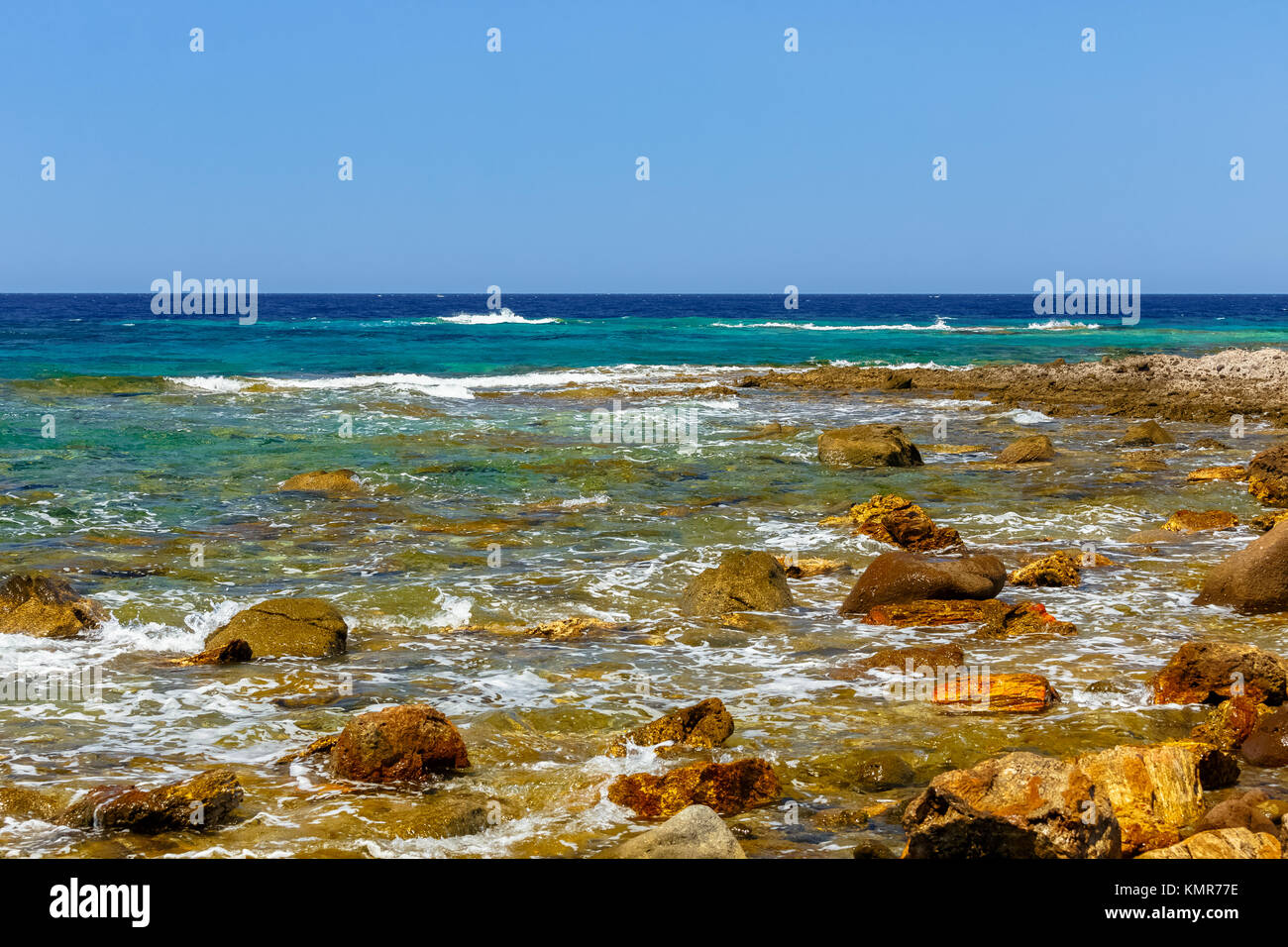 Fossilized colorful tree trunks in the sea from the UNESCO Geopark ...