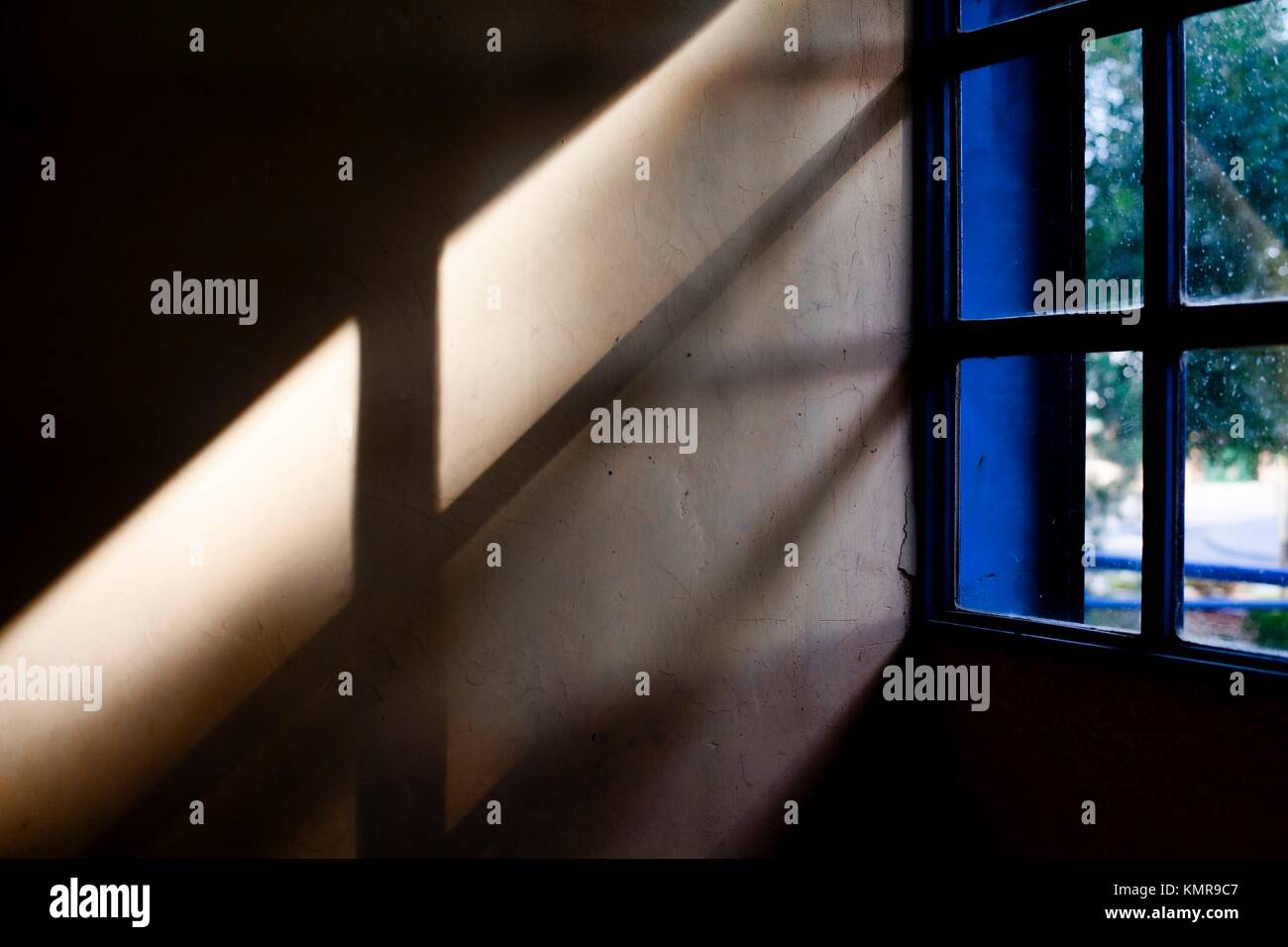 Vain rose hi-res stock photography and images - Alamy