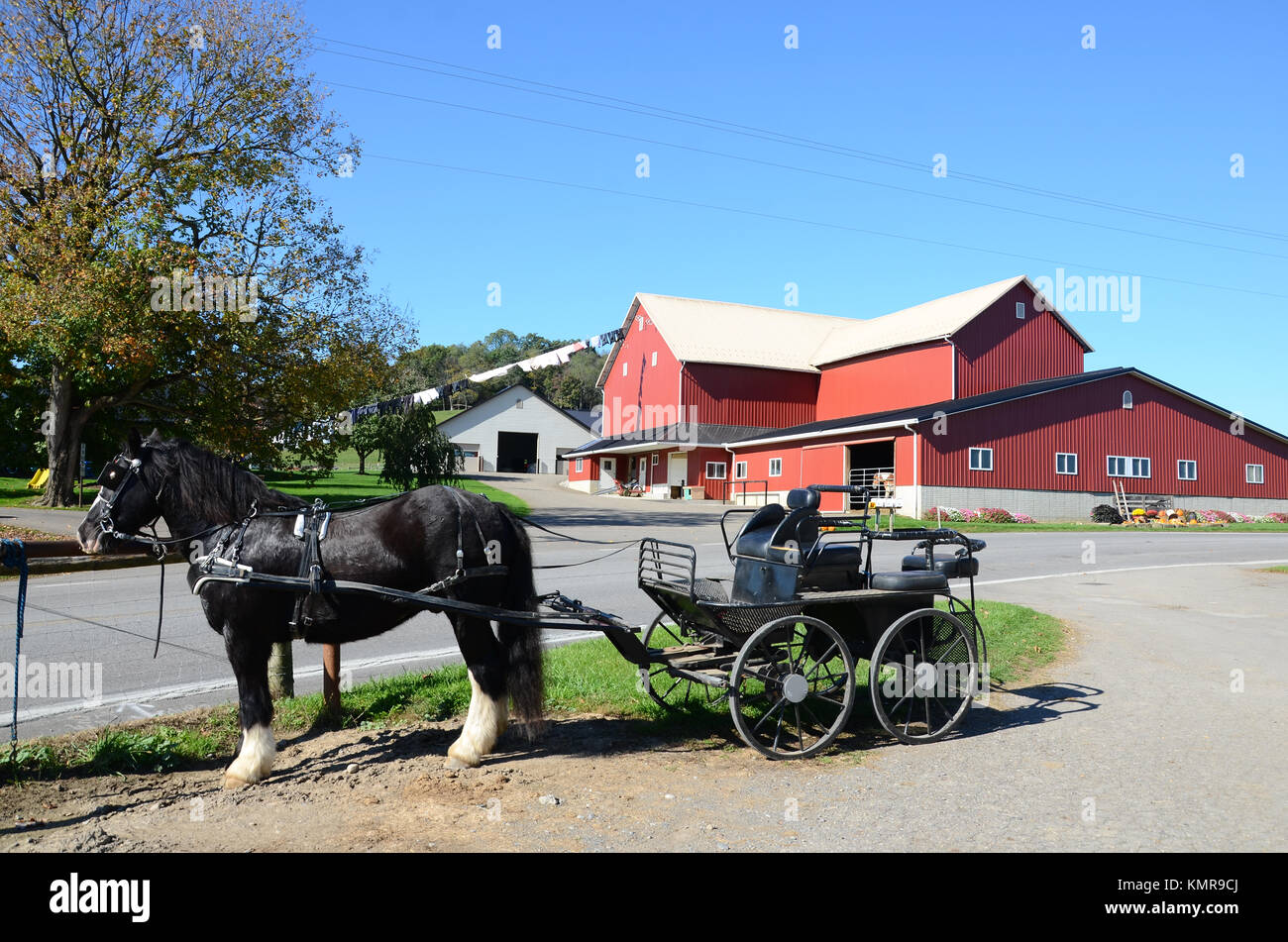 Amish horse and open-topped buggy standing outside farm building near ...