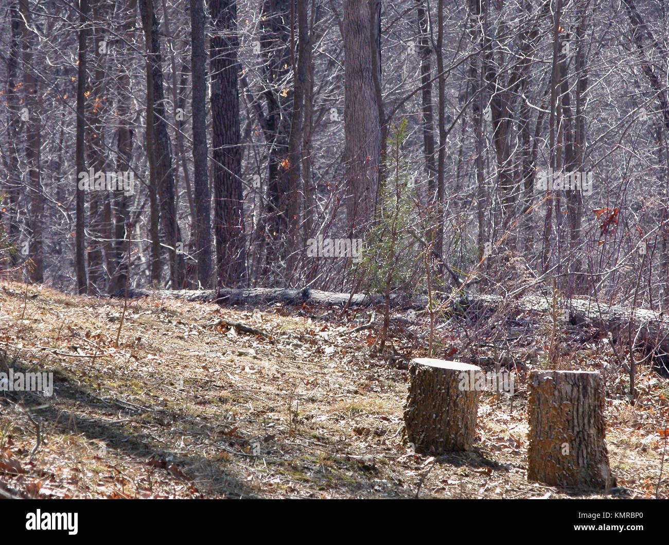 Appalachian foothills ohio hi-res stock photography and images - Alamy