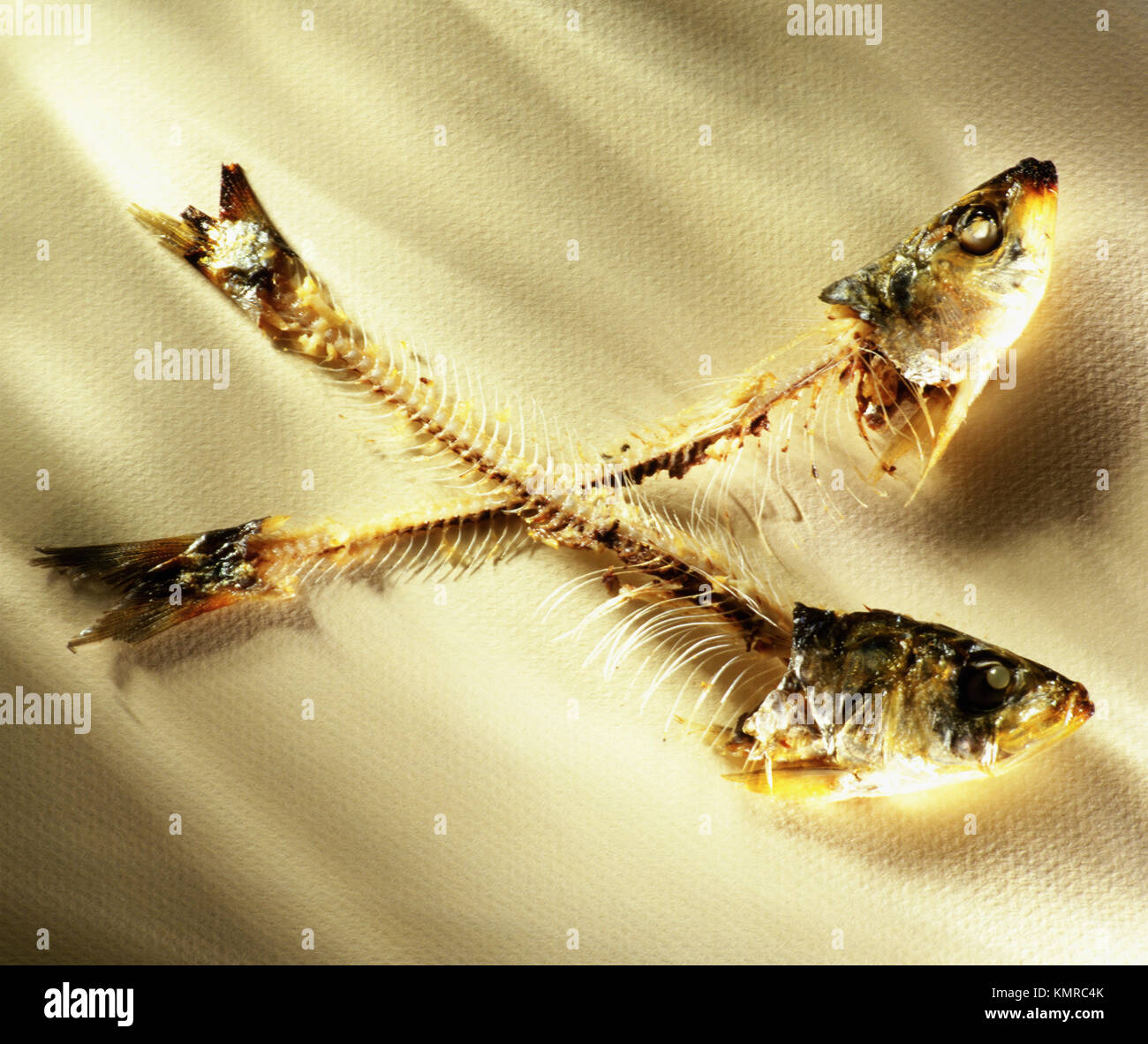 Shortage fish hi-res stock photography and images - Alamy