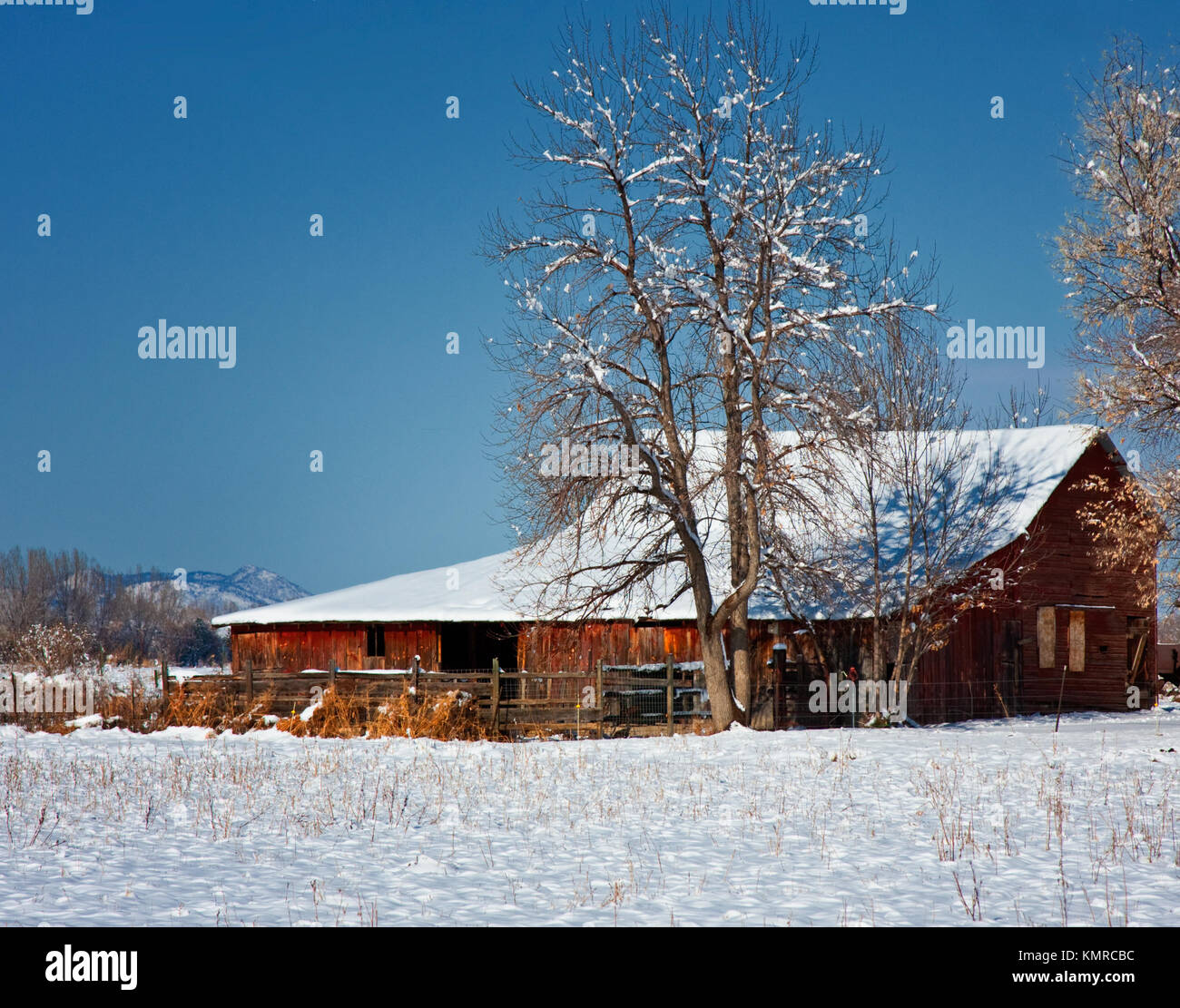 Barn Covered in Snow After Winter Storm in Colorado Stock Photo - Alamy