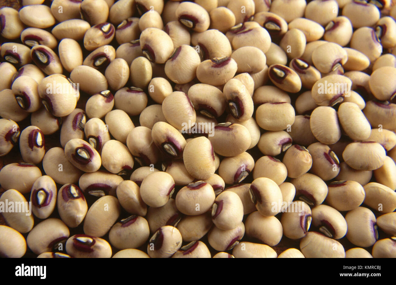 Purple hull beans Stock Photo - Alamy