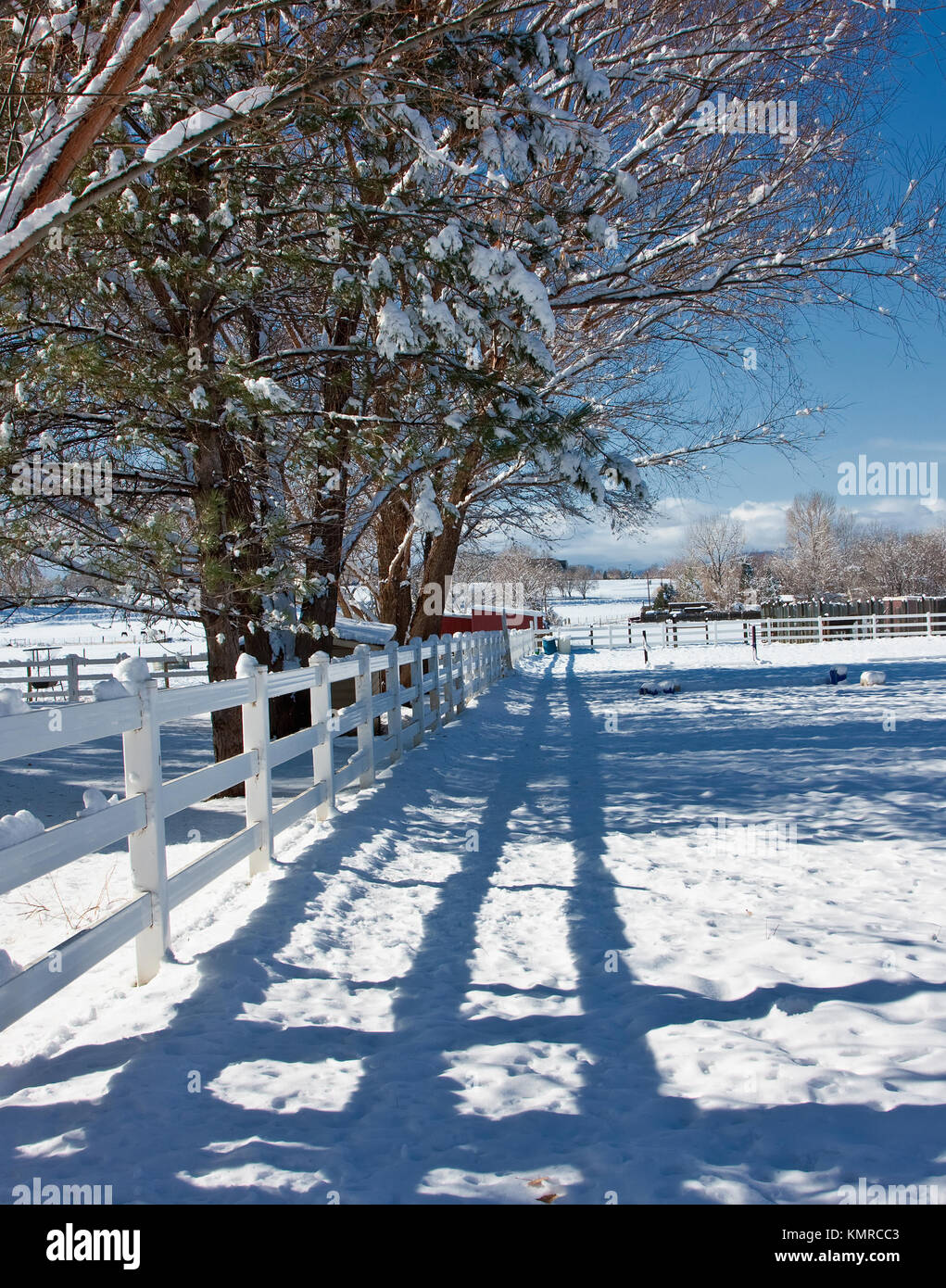 Beautiful Snow Fall on a Colorado Horse Farm With a White Fence ...