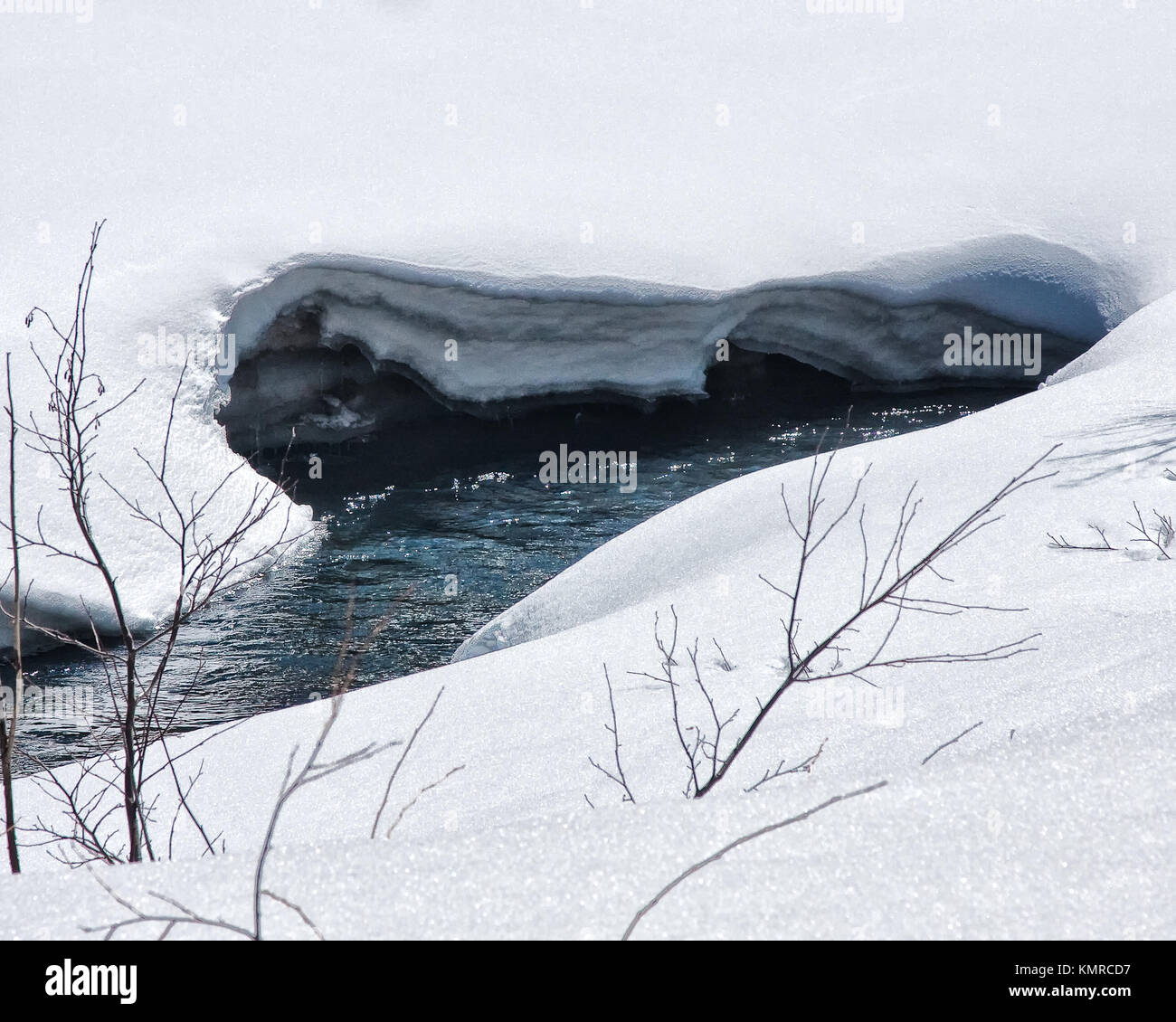 Spring is Coming to the Rocky Mountains As Frozen Streams Flow Again ...