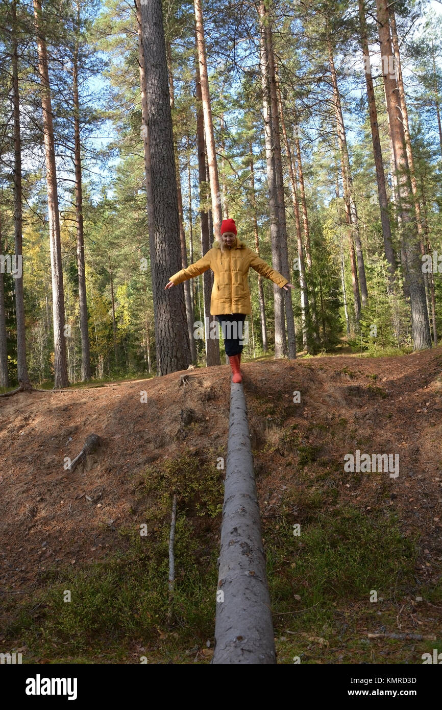 Ditch in the forest hi-res stock photography and images - Alamy