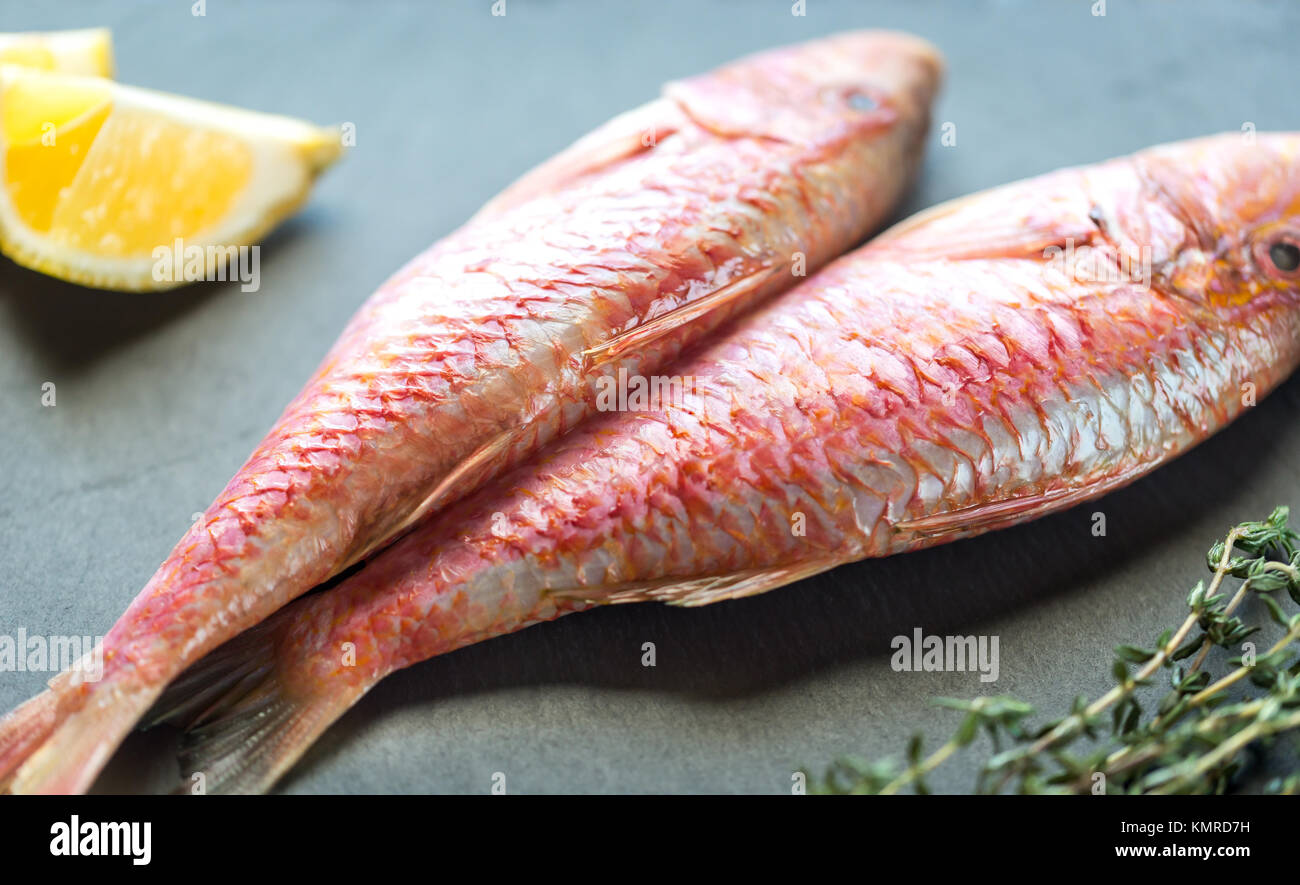 Raw red mullet with ingredients Stock Photo - Alamy