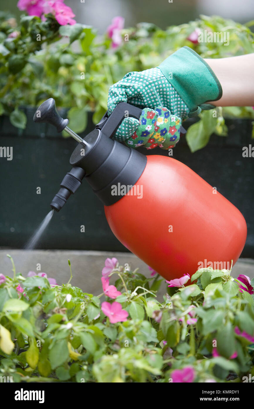 Spraying hi-res stock photography and images - Alamy