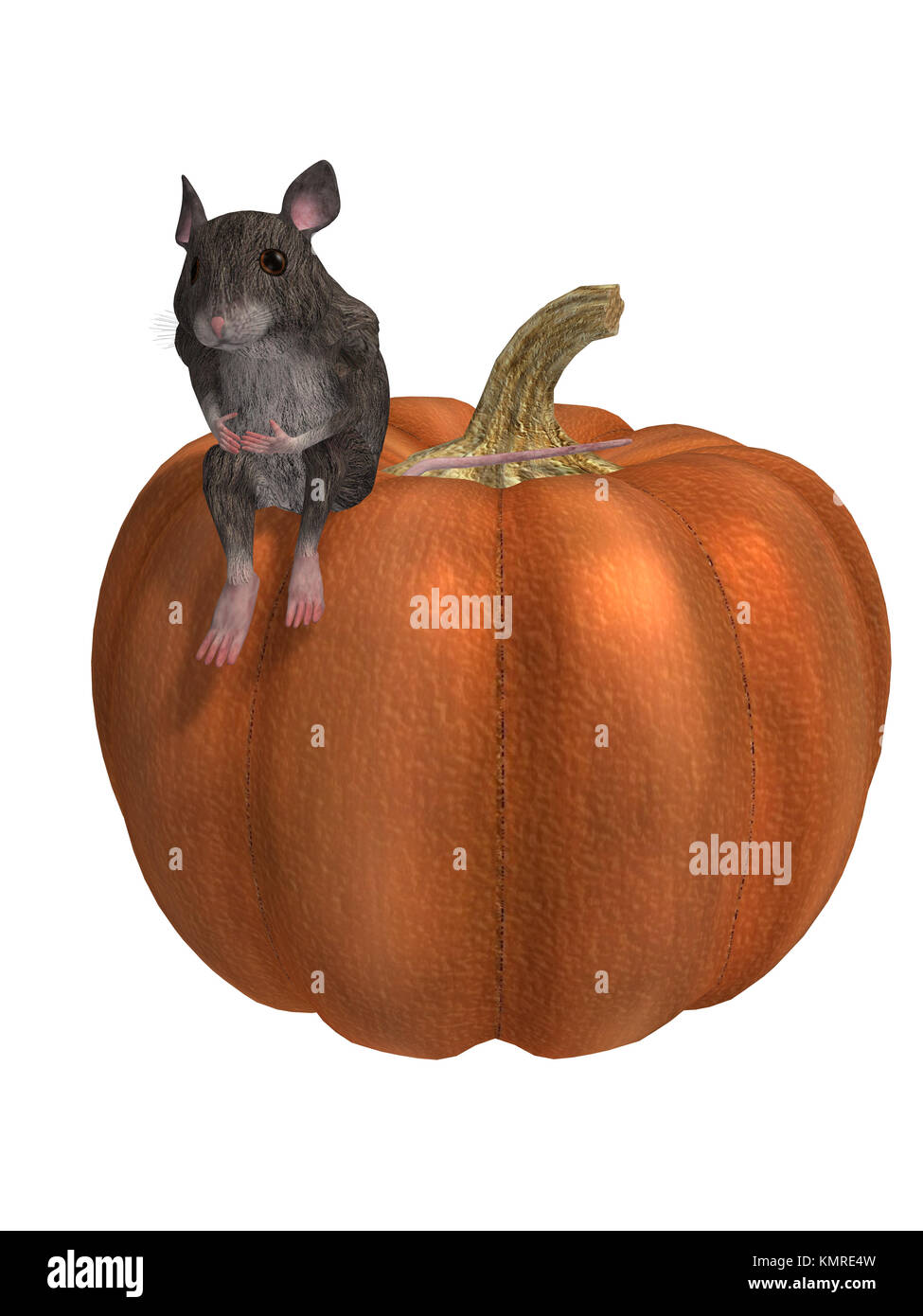 Mouse on a pumpkin on a white background Stock Photo - Alamy