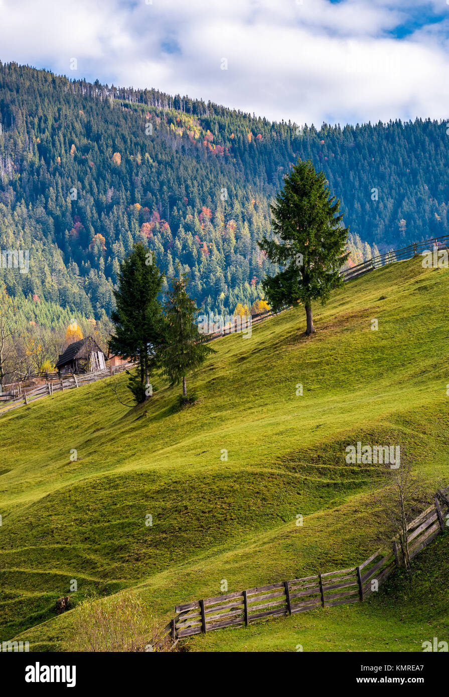 Tress and landscape hi-res stock photography and images - Alamy