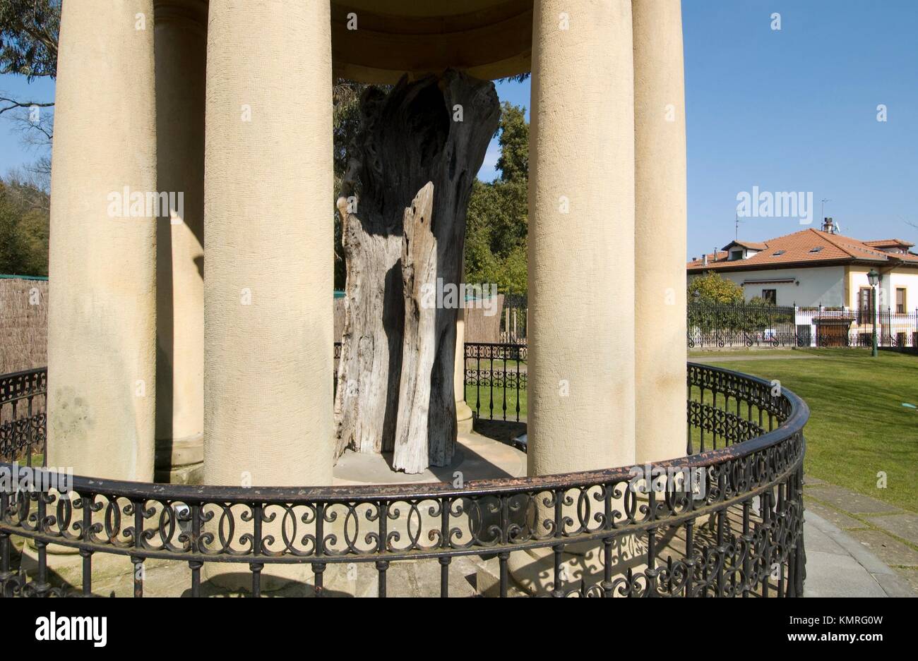 Old Tree Of Gernika High Resolution Stock Photography and Images - Alamy