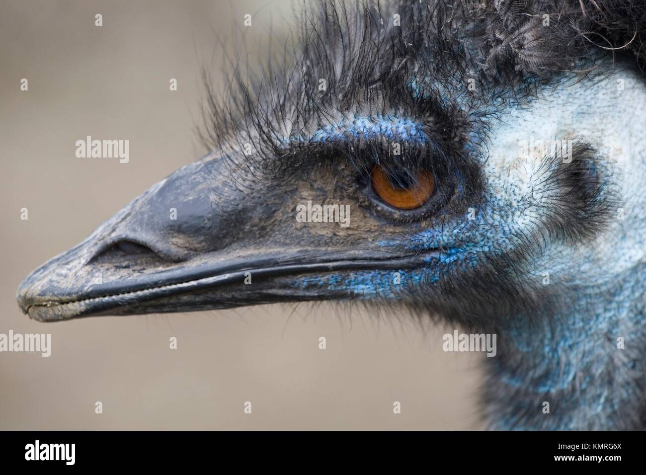 Upl hi-res stock photography and images - Alamy