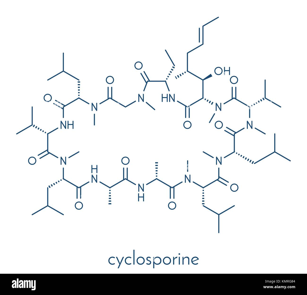 Ciclosporin (cyclosporine) immunosuppressant drug molecule. Used to ...