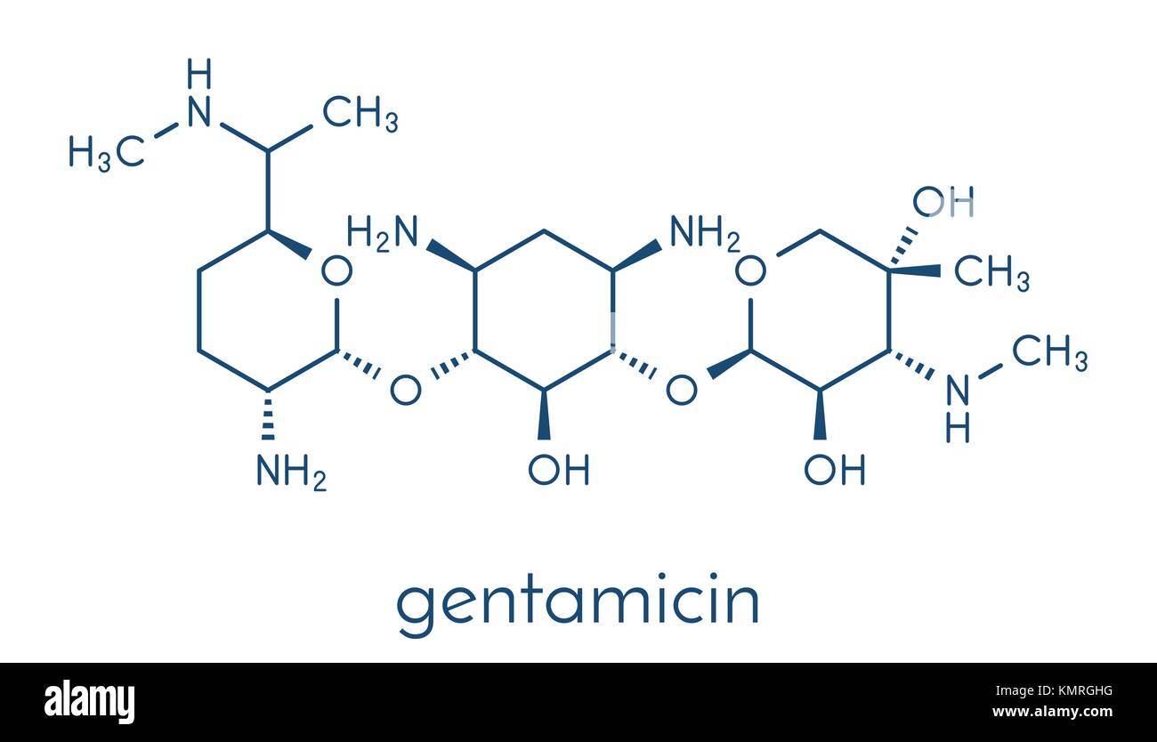 Gentamicin antibiotic drug (aminoglycoside class) molecule. Skeletal ...