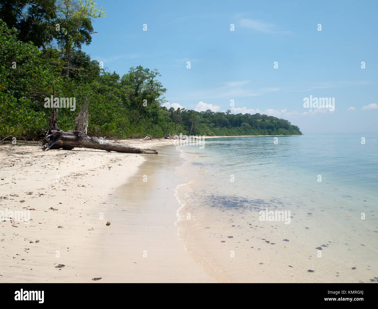 Elephant beach, Havelock Stock Photo - Alamy