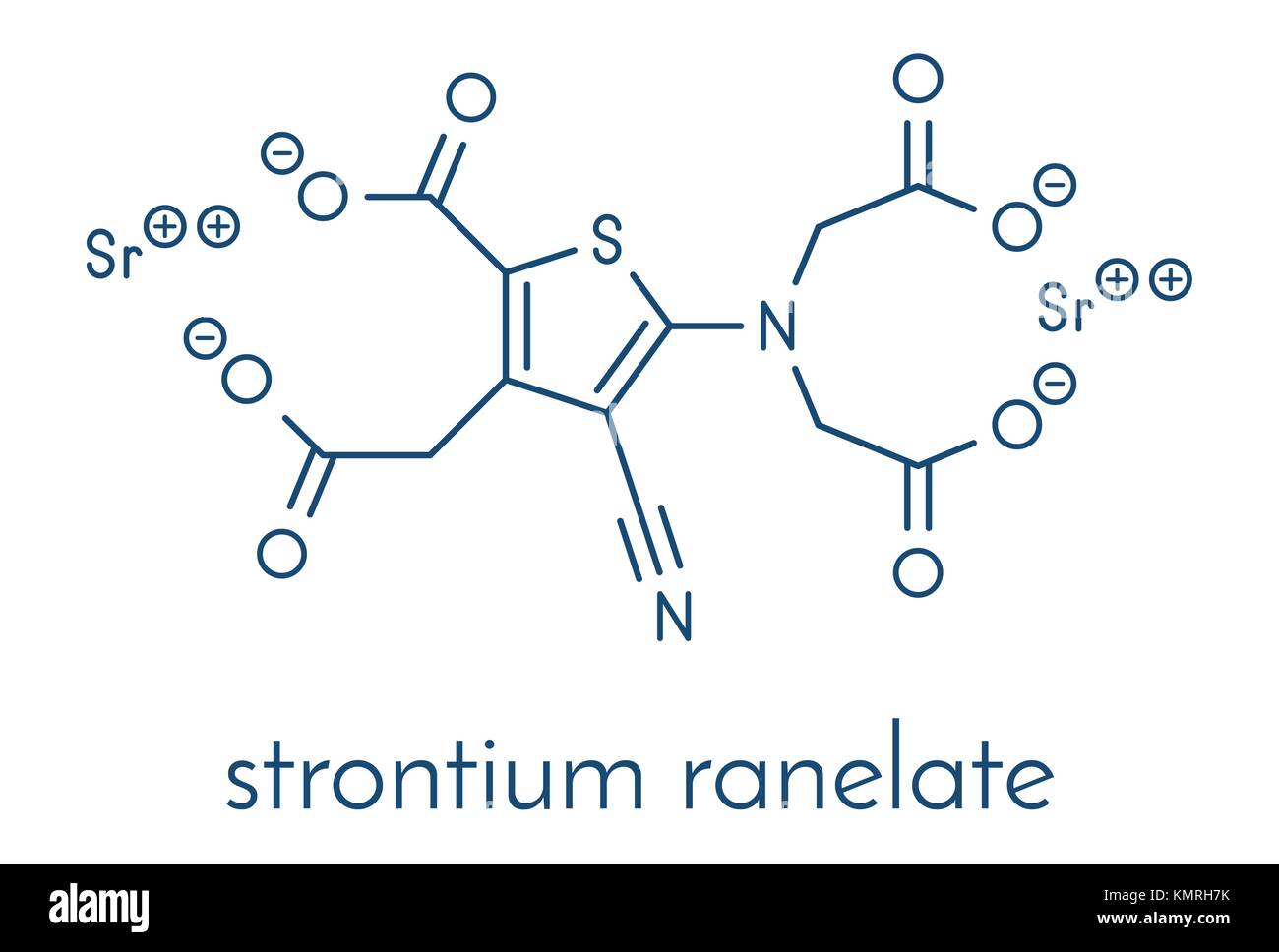 Strontium ranelate osteoporosis drug molecule. Skeletal formula Stock ...