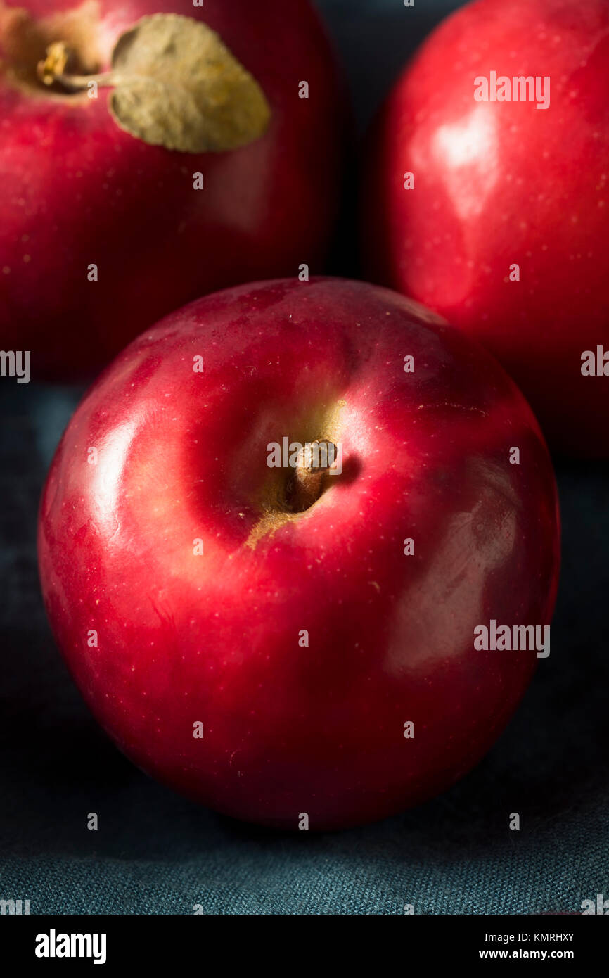 Red Organic Macintosh Apples Ready to Eat Stock Photo - Alamy