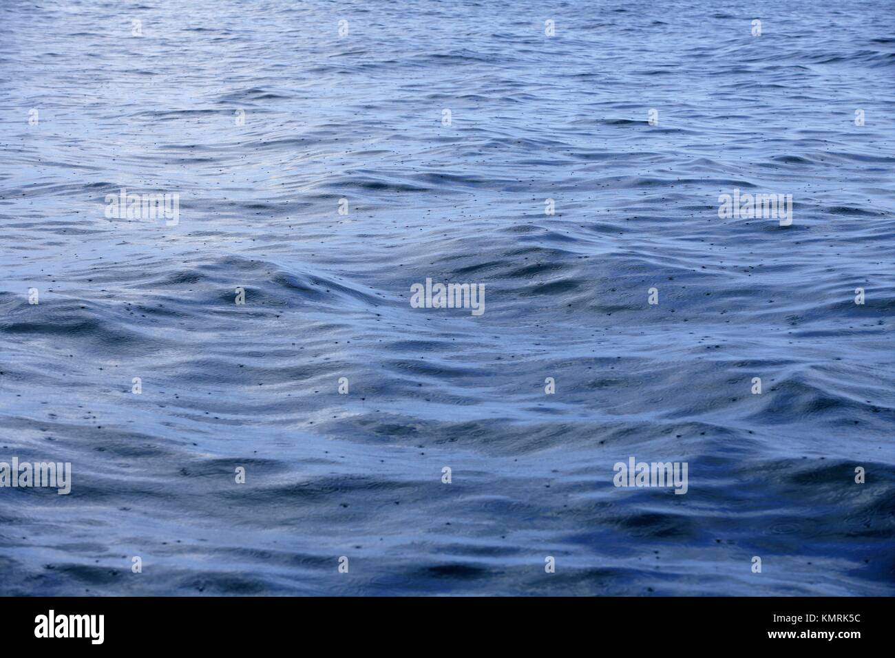 Rain falling on ocean waves hi-res stock photography and images - Alamy