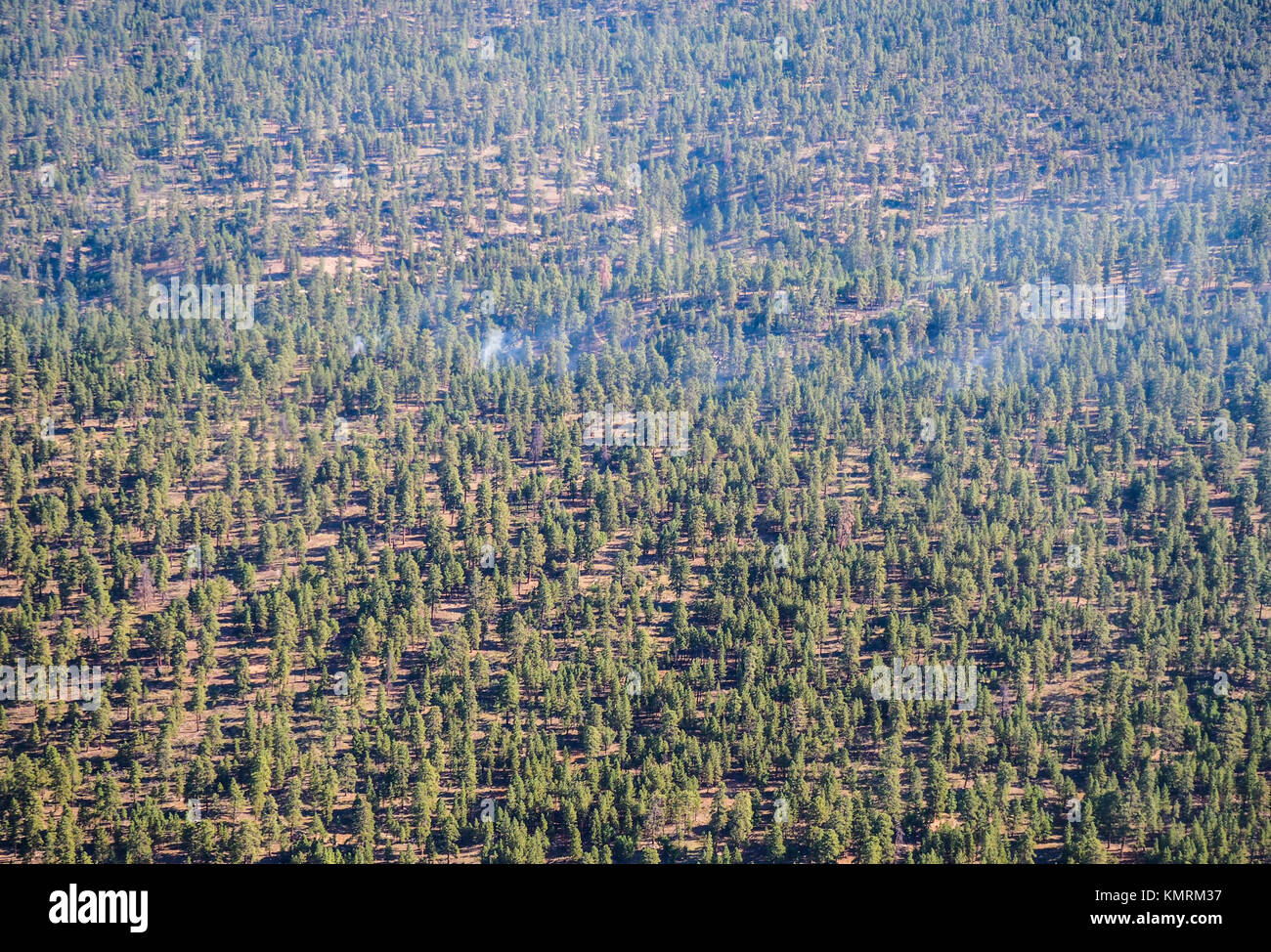 Aerial view from a plane of smoke raising from a starting bushfire in a ...