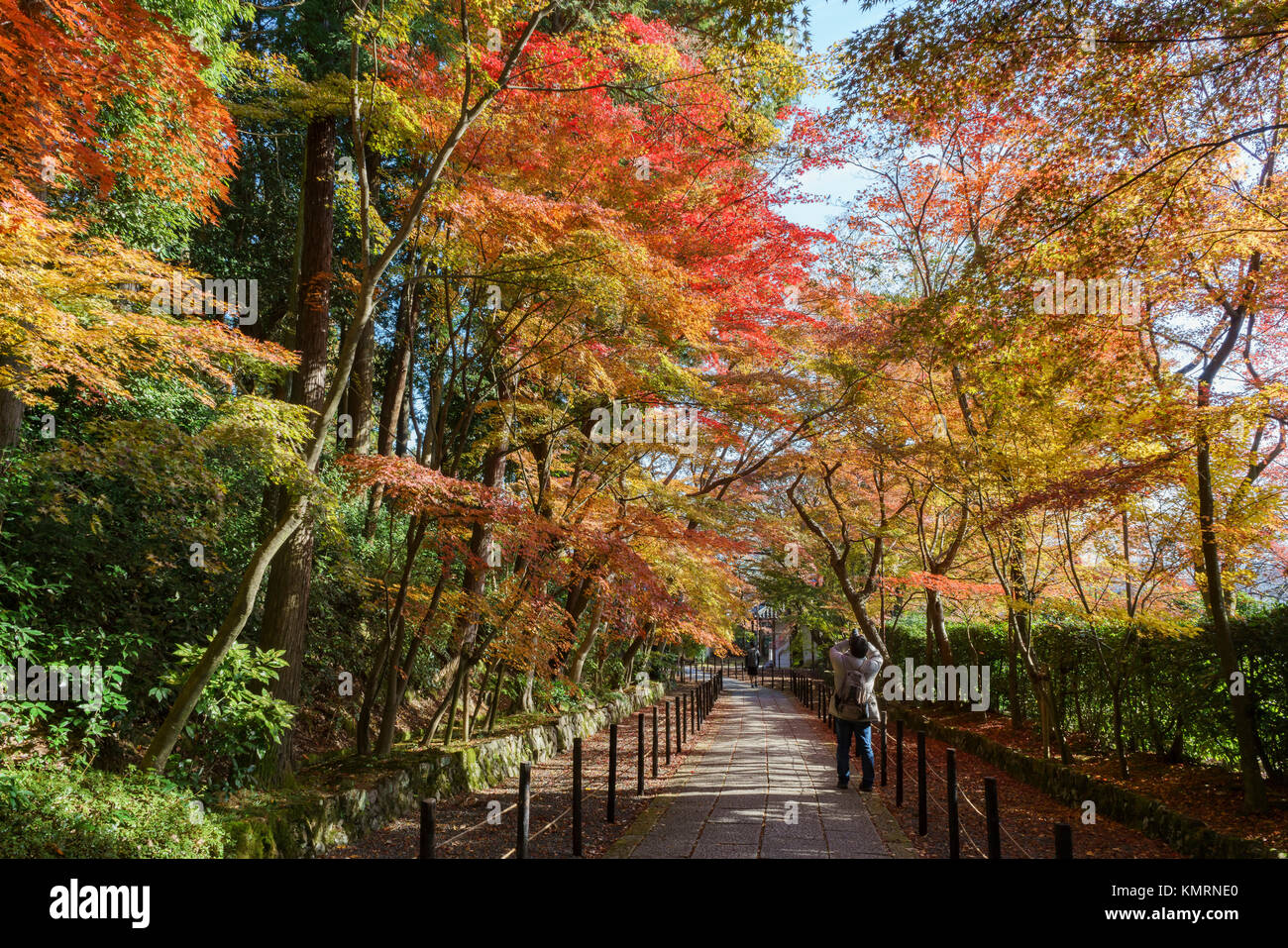 Kyoto, NOV 25: Beautiful fall color of Komyo-ji on NOV 25, 2017 at ...