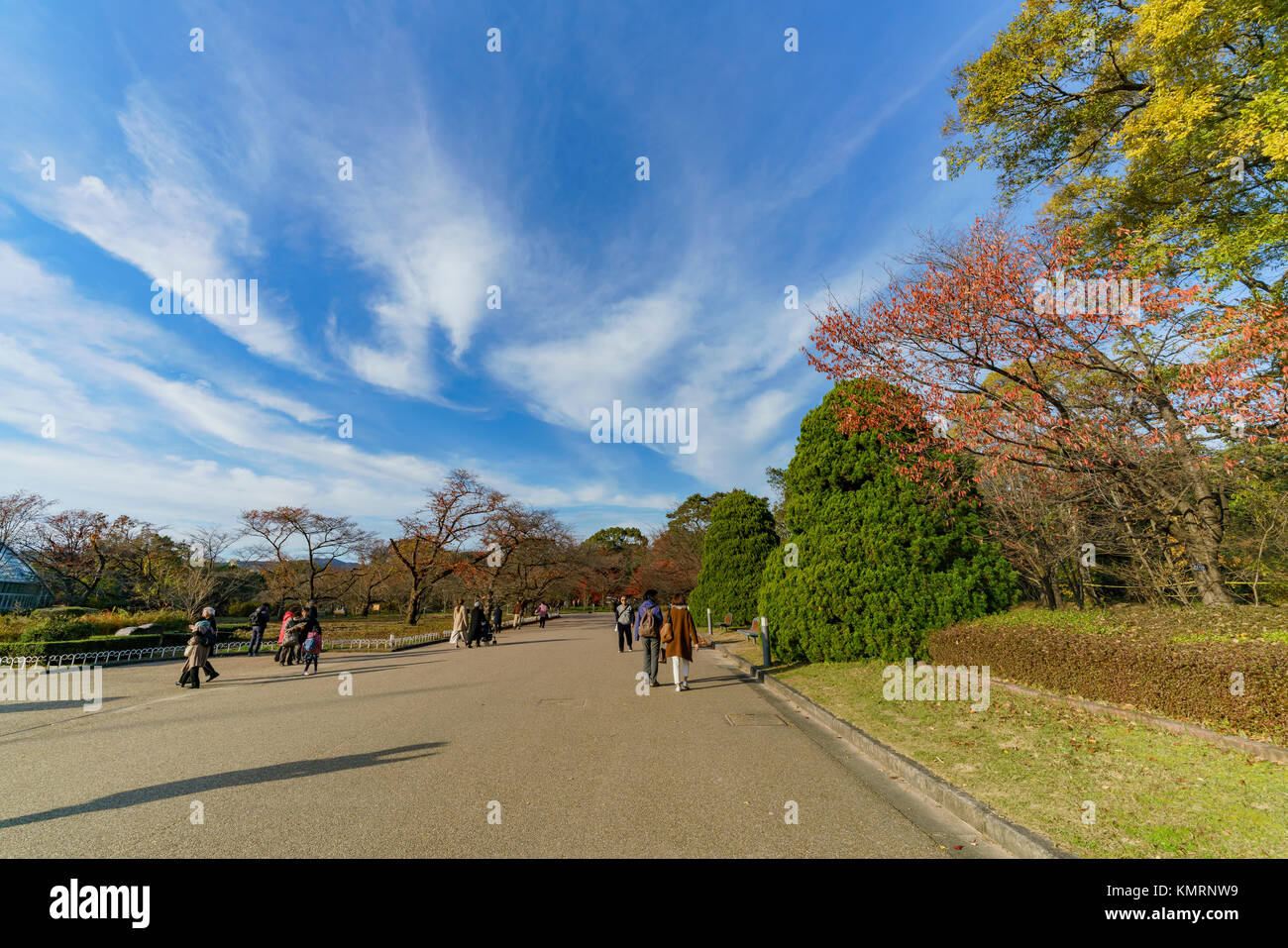 Kyoto, NOV 25: Beautiful fall color of Kyoto Botanical Garden, on NOV ...