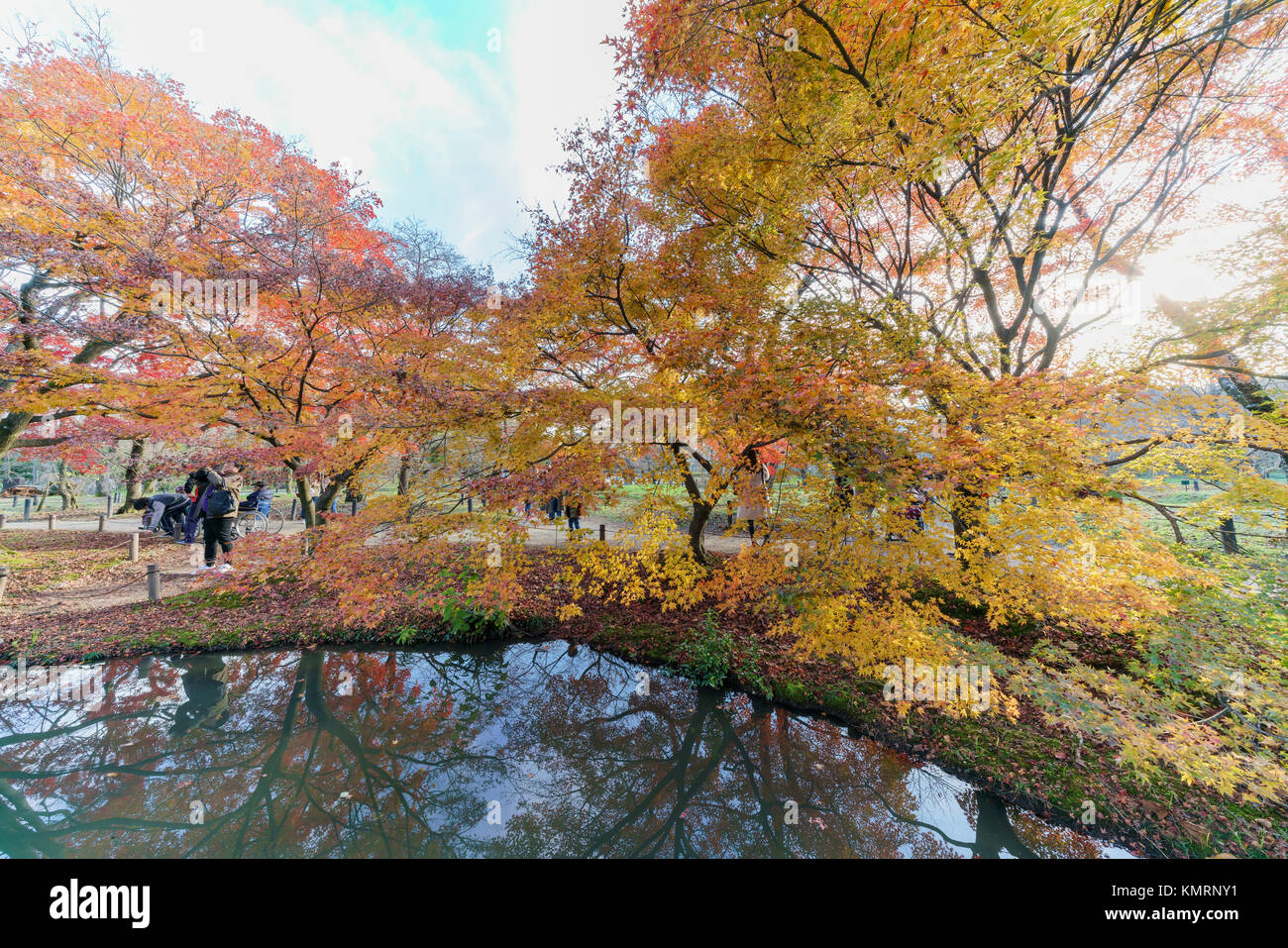Kyoto, NOV 25: Beautiful fall color of Kyoto Botanical Garden, on NOV ...