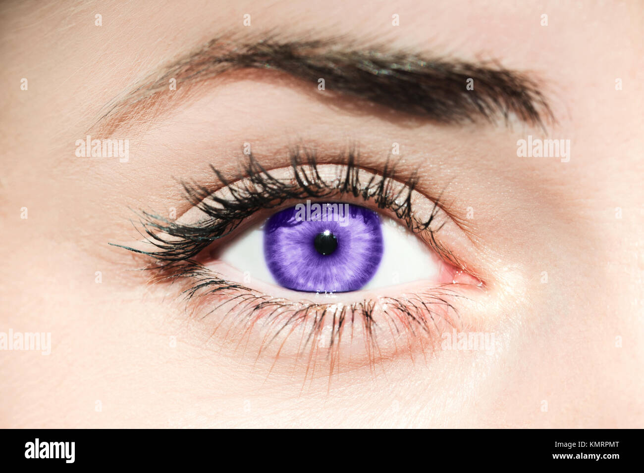 Pantone ultra violet 2018 color hi-res stock photography and images - Alamy